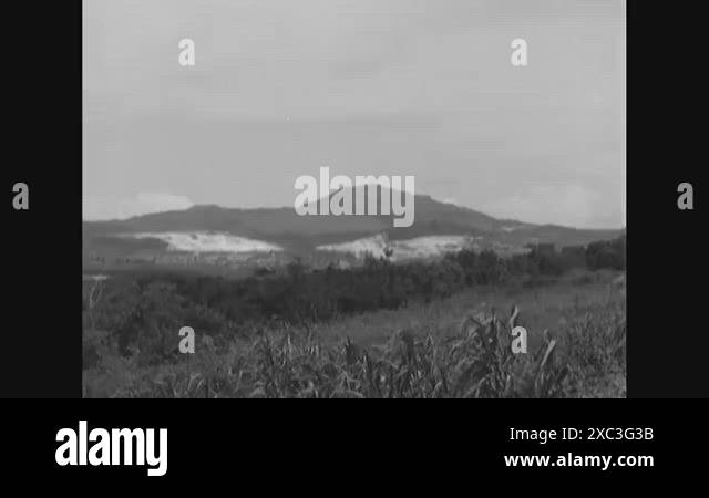 Hickam field Stock Videos & Footage - HD and 4K Video Clips - Alamy