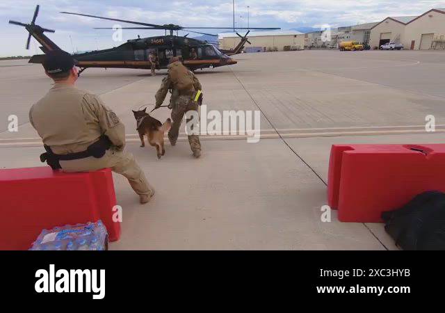 K9 unit police border Stock Videos & Footage - HD and 4K Video Clips ...