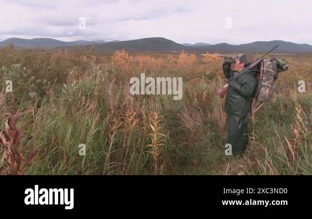 Hunter animal tracks Stock Videos & Footage - HD and 4K Video Clips - Alamy