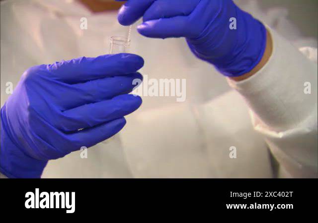 CDC scientists in appropriate personal protective equipment perform ...