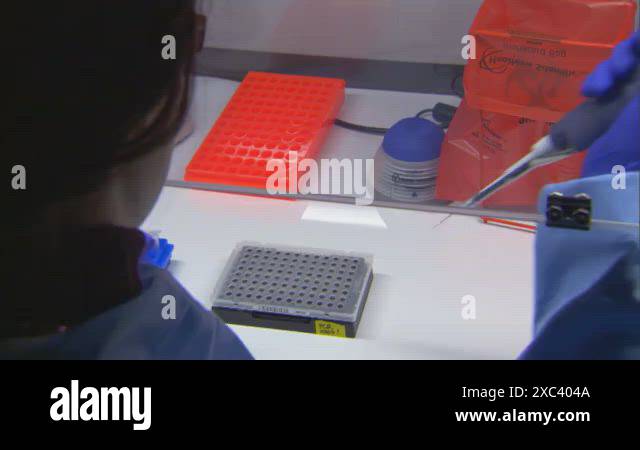 CDC scientists in appropriate personal protective equipment perform ...