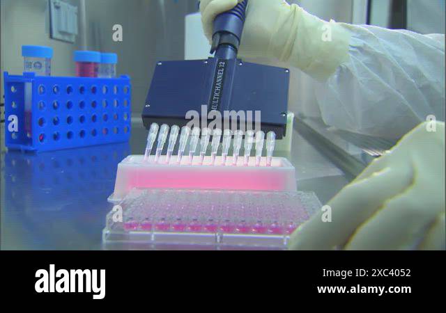 Cdc lab Stock Videos & Footage - HD and 4K Video Clips - Alamy