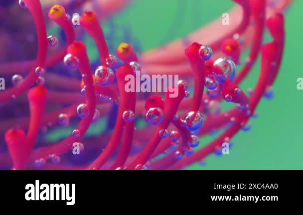 Arrow adder Stock Videos & Footage - HD and 4K Video Clips - Alamy