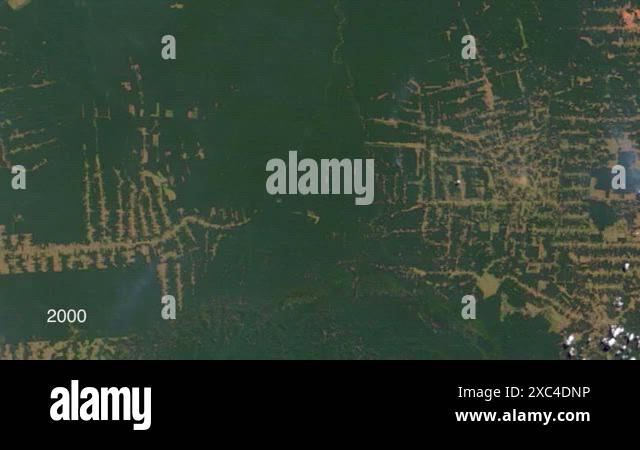 Amazon deforestation satellite images Stock Videos & Footage - HD and ...