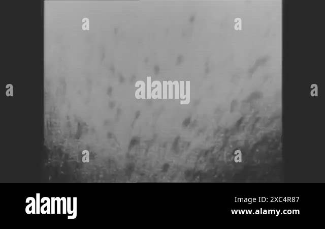 1930s - Hitler enjoys a nature retreat among trees and mountains, and ...