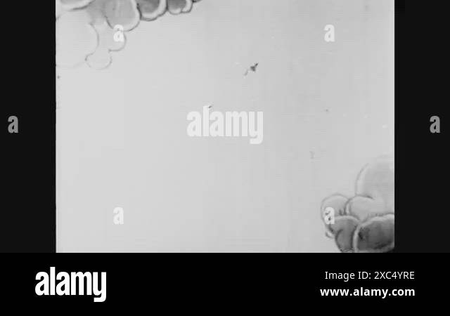 1923 - In this animated film, Felix the Cat vows to help the Little Old ...