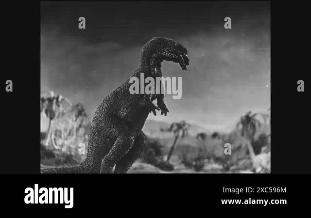Allosaurus Stock Videos & Footage - HD and 4K Video Clips - Alamy
