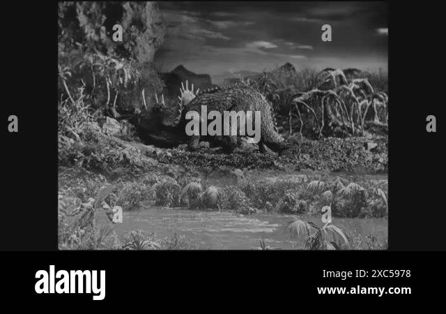 Tyrannosaurus rex fighting triceratops Stock Videos & Footage - HD and ...