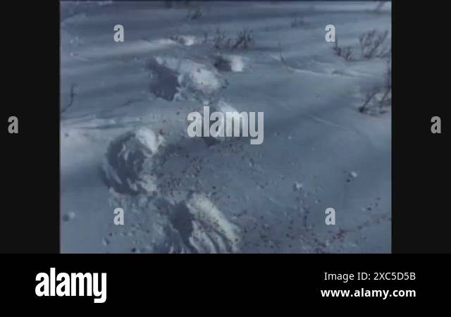 Yeti footprint Stock Videos & Footage - HD and 4K Video Clips - Alamy