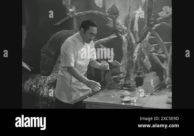 1959 - In this sci-fi film, a Japanese scientist's assistant questions ...