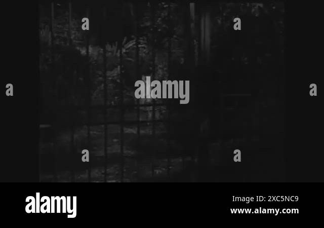 1961 - In this horror film, a woman gets stuck in a gate at night and ...