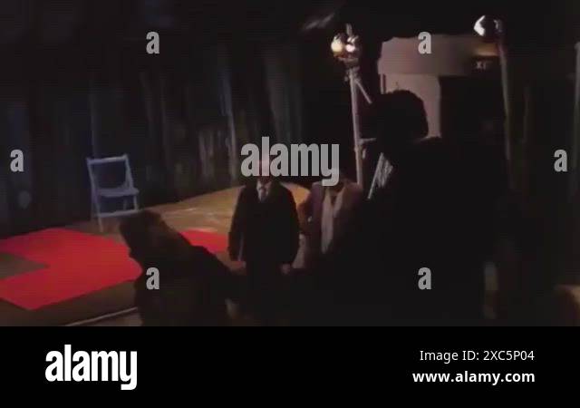 Bearded lady Stock Videos & Footage - HD and 4K Video Clips - Alamy