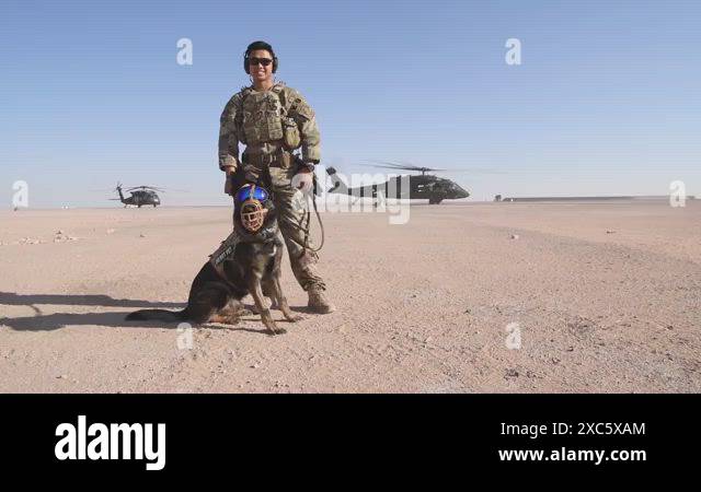 2020 National Guard Task Force Javalin K9 units and UH-60 Black Hawk ...
