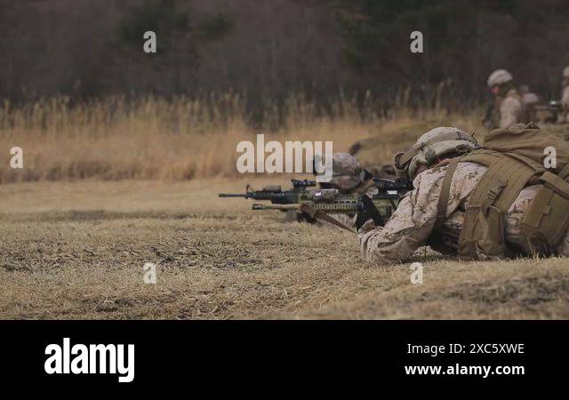 Infantry formation Stock Videos & Footage - HD and 4K Video Clips - Alamy