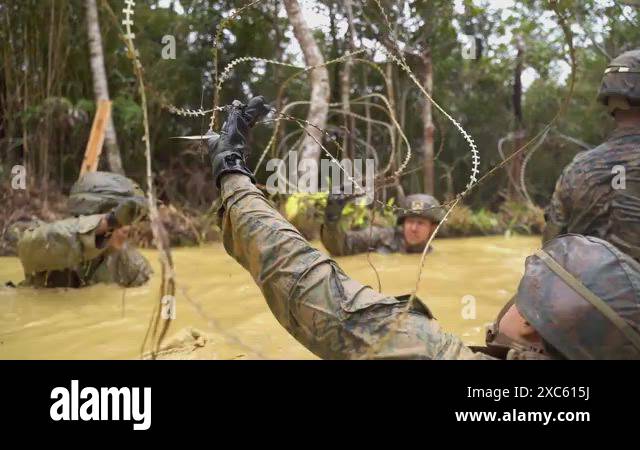 2021 U.S. Army, Marines and Japanese Ground Self-Defense soldiers Basic ...
