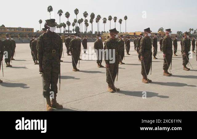 A drill instructor Stock Videos & Footage - HD and 4K Video Clips - Alamy