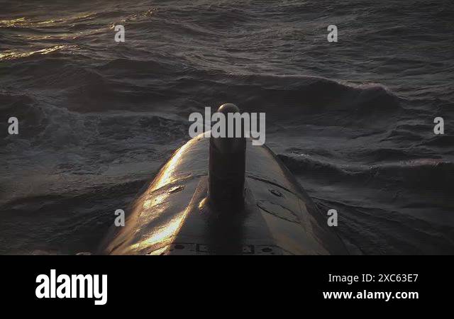 Man vs animal Stock Videos & Footage - HD and 4K Video Clips - Alamy