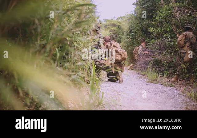 Ground sensor platoon Stock Videos & Footage - HD and 4K Video Clips ...