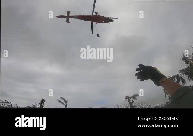 Dolphin rescue Stock Videos & Footage - HD and 4K Video Clips - Alamy