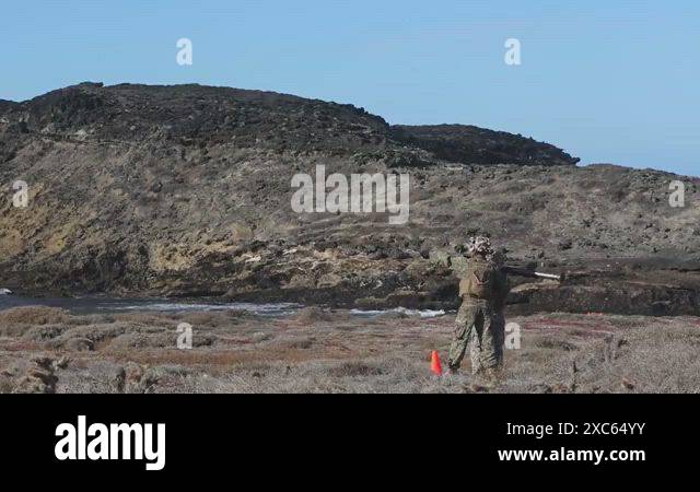 2022 U.S. Marines 3rd Low Altitude Air Defense Battalion military ...