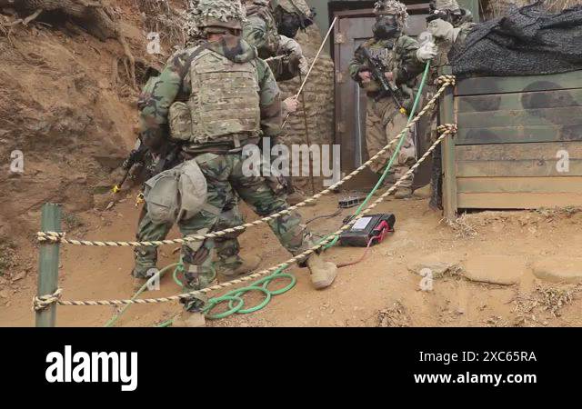 Belgian cage Stock Videos & Footage - HD and 4K Video Clips - Alamy