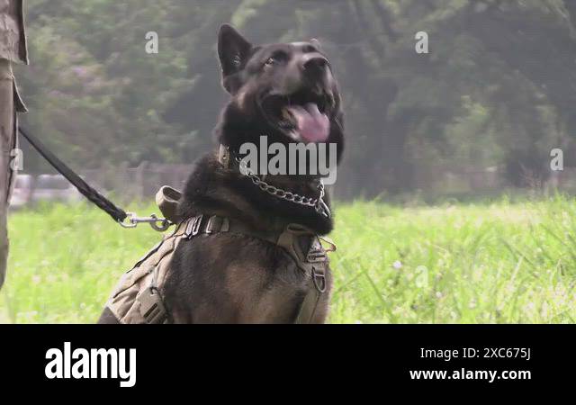 Clark Air Base, Philippines 04/17/2023 U.S. and Philippine service ...