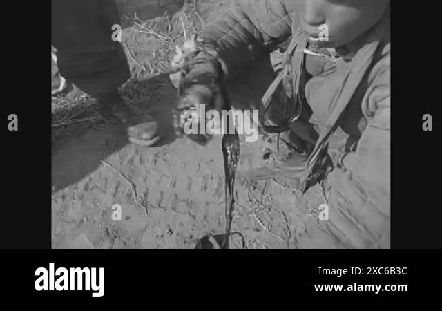 Korean peoples army kpa Stock Videos & Footage - HD and 4K Video Clips ...
