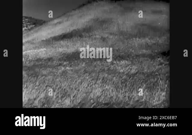 1949 - Part of a German reeducation program (translated) about hunger ...