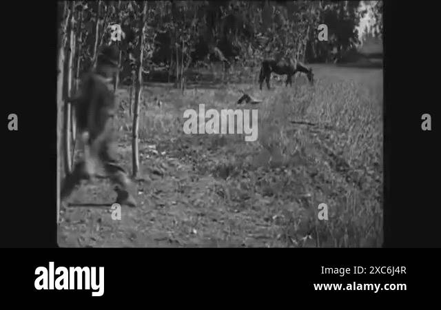 USA - 1921 - In this silent comedy, a golfer (Charlie Chaplin) is ...