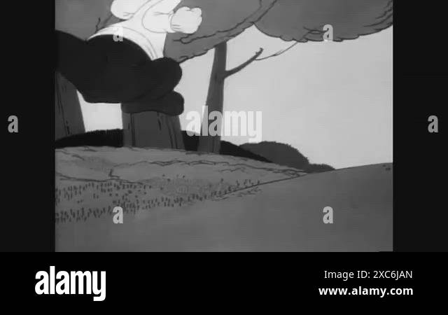 Boxing bunnies Stock Videos & Footage - HD and 4K Video Clips - Alamy