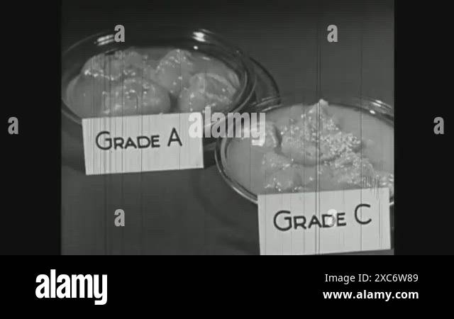1950 - The differences between Grade A and Grade C level canned foods ...