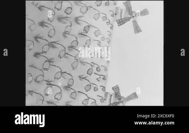 1933 - In this animated film, stereotypes are used to show a matador ...