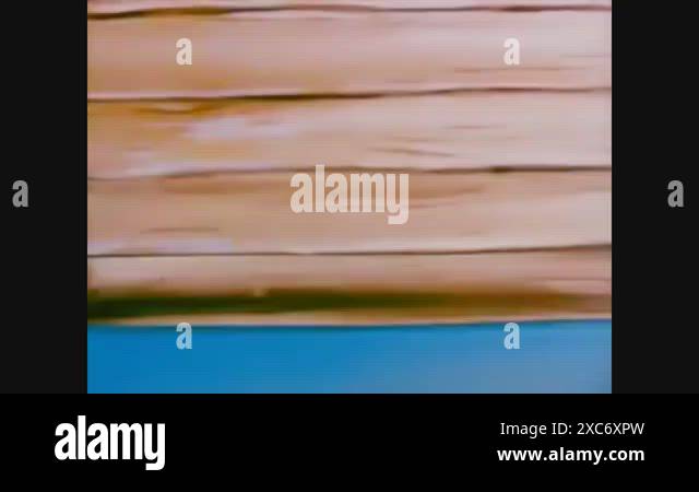 1942 - In this animated film, Daffy Duck is chased by a fox and weasel ...