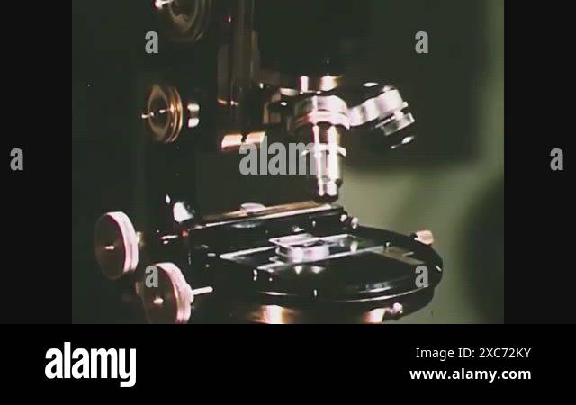 1949 - Under a microscope, time-lapse photography shows cell division ...