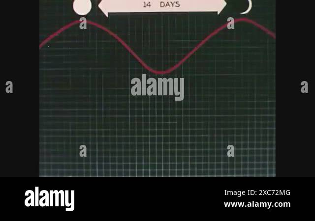 1949 - An animated graph is used to explain the short window grunions ...