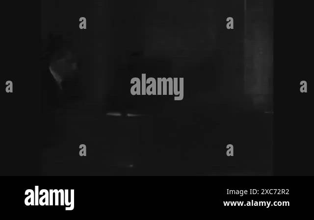 1950s singer Stock Videos & Footage - HD and 4K Video Clips - Alamy