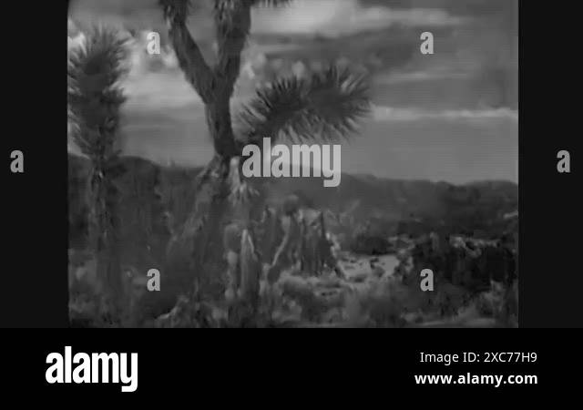 1934 - In this dramatic Western film starring Ken Maynard, a group of ...