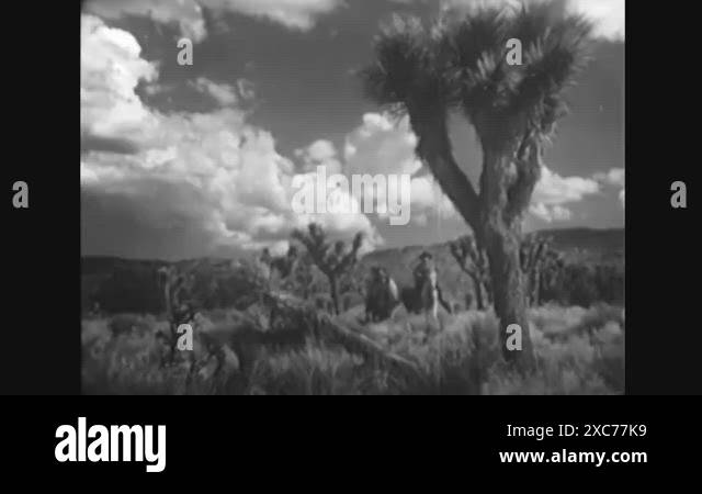 1934 - In this dramatic Western film starring Ken Maynard, a cowboy ...