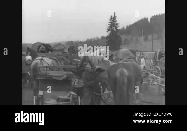 GERMAN - 1945 - Nazi soldiers on their way to surrender in Germany ...