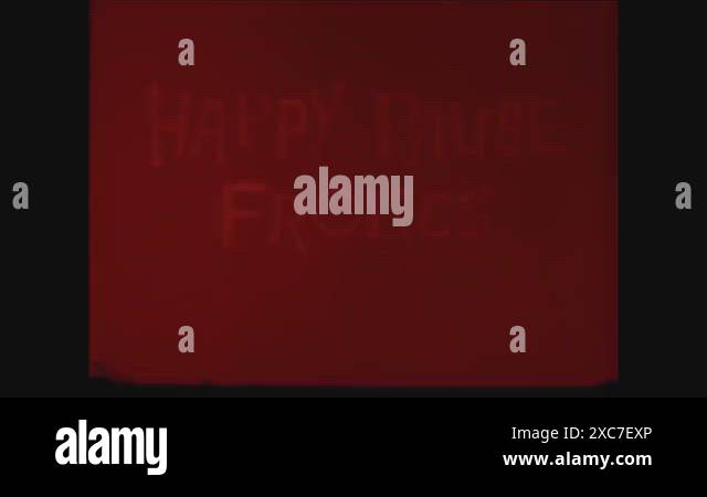 Balancing act seal Stock Videos & Footage - HD and 4K Video Clips - Alamy