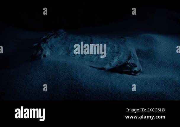 Ancient chinese paper scrolls Stock Videos & Footage - HD and 4K Video ...