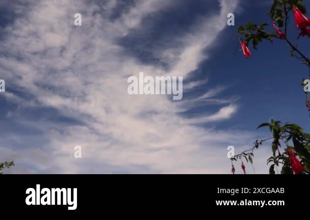 Cirrus cloud and mountains Stock Videos & Footage - HD and 4K Video ...