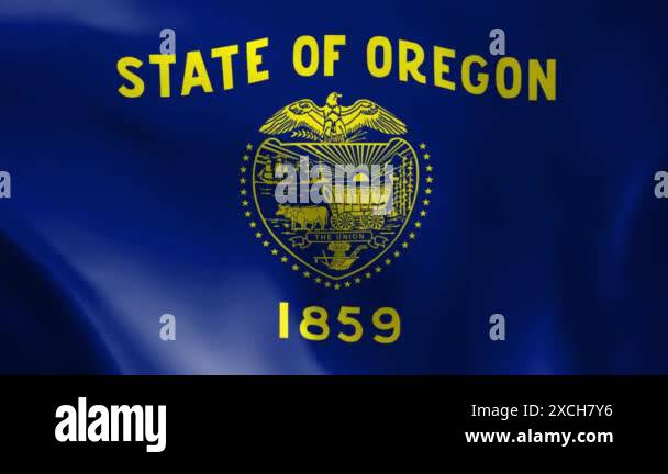 Oregon flag in the wind. Detailed fabric texture. Seamless looped animation Stock Video Footage ...