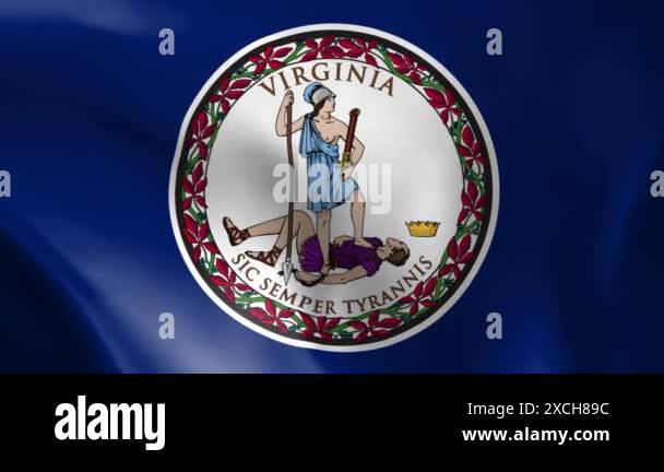 Virginia flag in the wind. Detailed fabric texture. Seamless looped ...