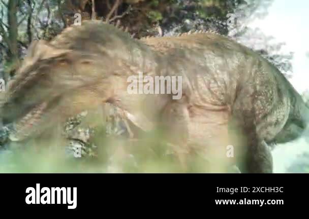 Giganotosaurus Close up 3D Rendering Animation Dinosaurs 4K Stock Video ...