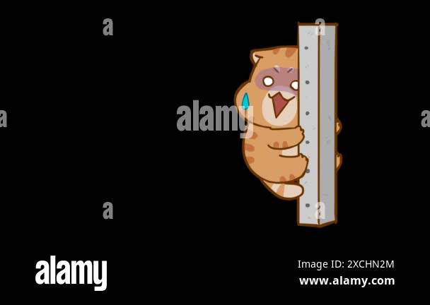 Cat scared vector Stock Videos & Footage - HD and 4K Video Clips - Alamy