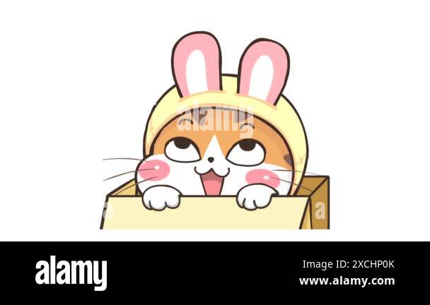 Out of the box vector Stock Videos & Footage - HD and 4K Video Clips ...