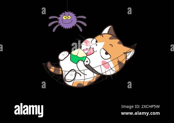 Spider web hammock Stock Videos & Footage - HD and 4K Video Clips - Alamy