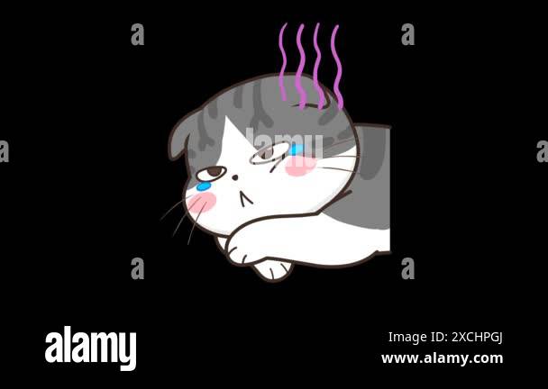 Cat sad crying sobbing Stock Videos & Footage - HD and 4K Video Clips ...