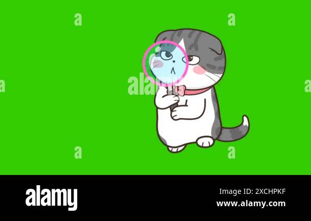 Cat magnifying glass Stock Videos & Footage - HD and 4K Video Clips - Alamy